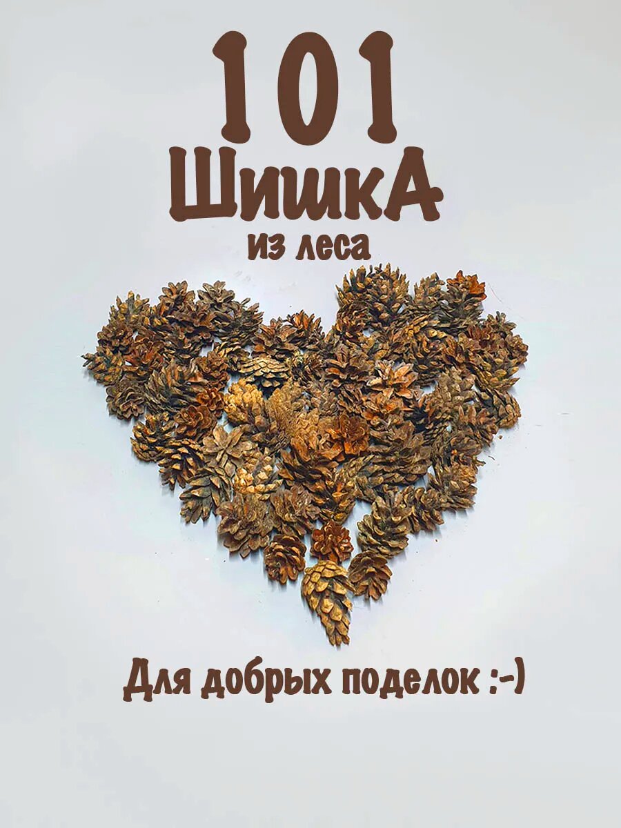 Шишки для творчества и поделок в школу