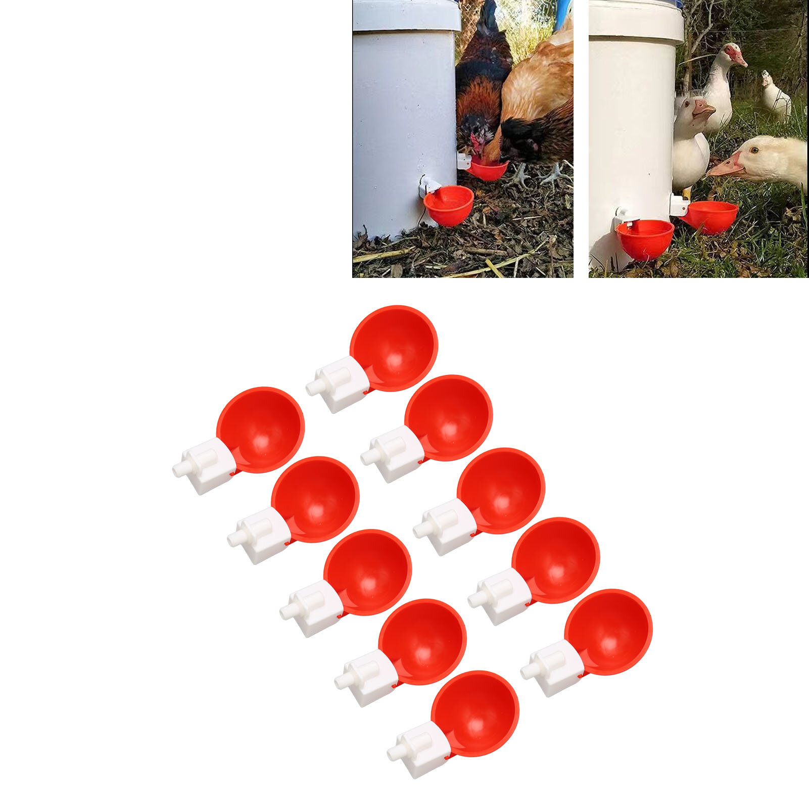 10 шт. поилки для кур, маленькие автоматические поилки для птицы, чашки для кормушки для кур, уток, гусей, индеек