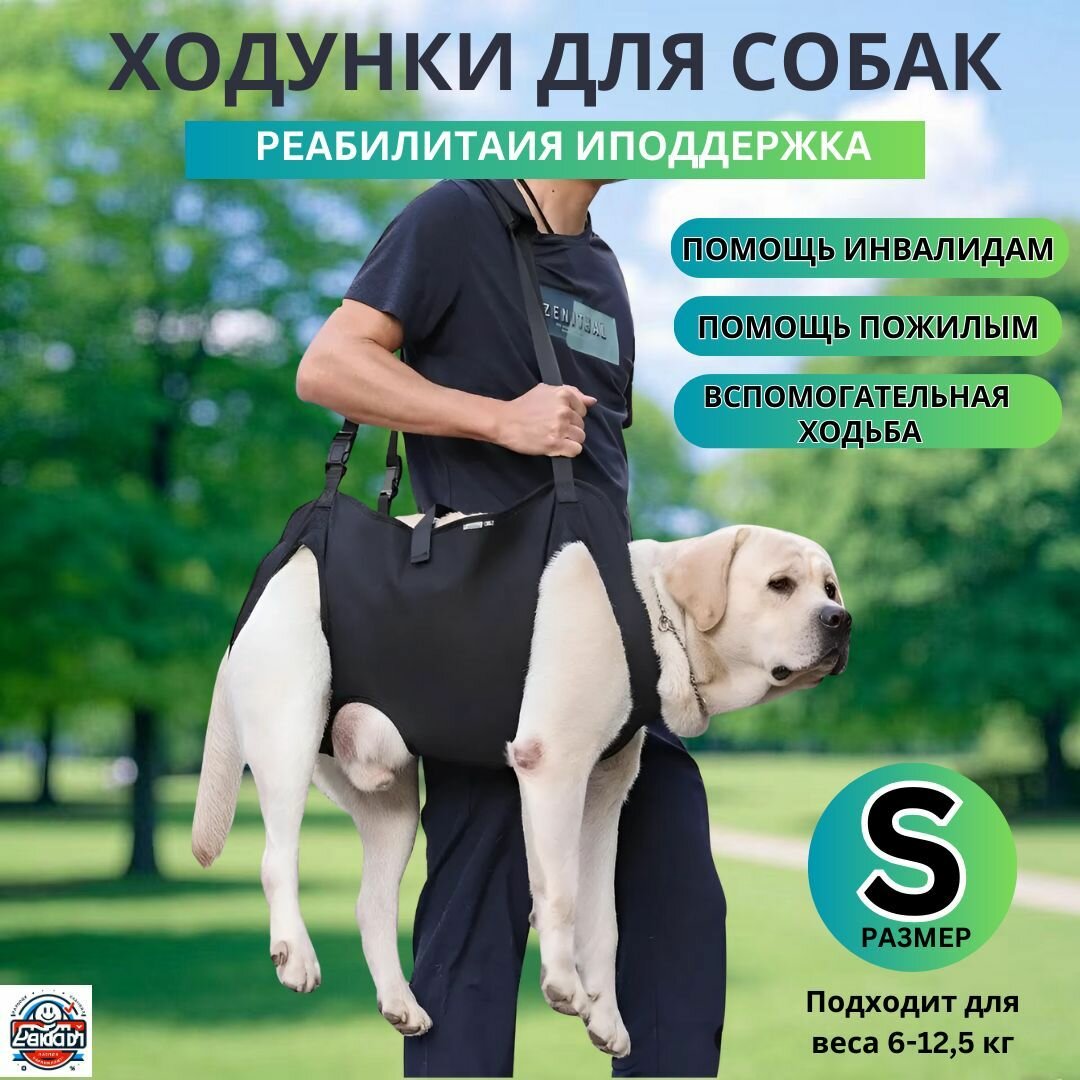 Ходунки для собак с поддержкой задних лап, удобная шлейка для реабилитации и комфорта, размер S, помощь пожилым и травмированным питомцам, восстановление после операций