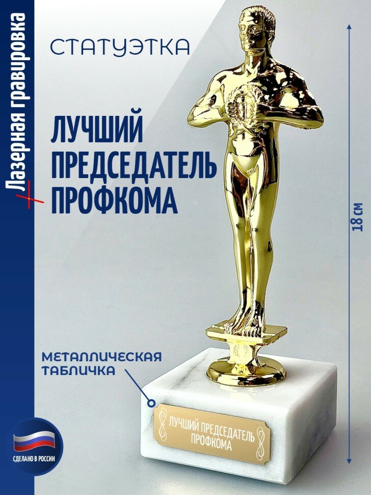 Награда "Лучший председатель профкома" (18 см)