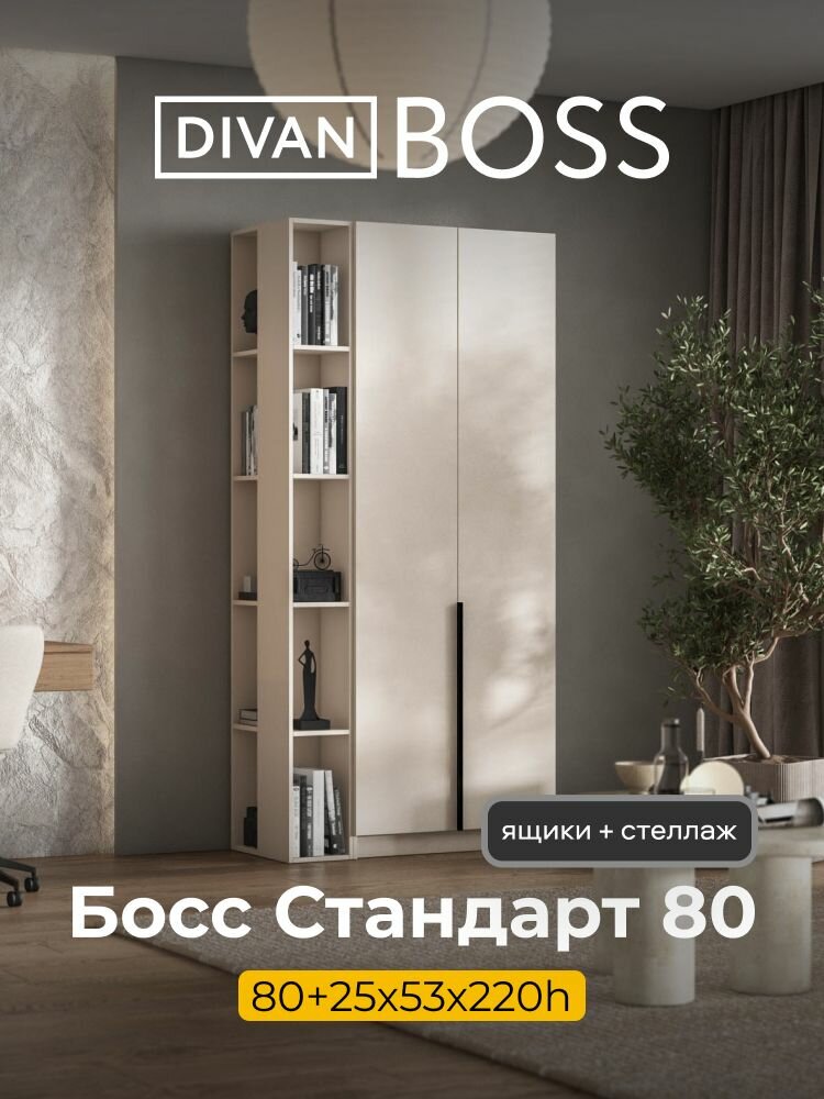 Шкаф распашной, BOSS STANDART, 105х53х220 см, 2х дверный с ящиками и стеллажом, кашемир