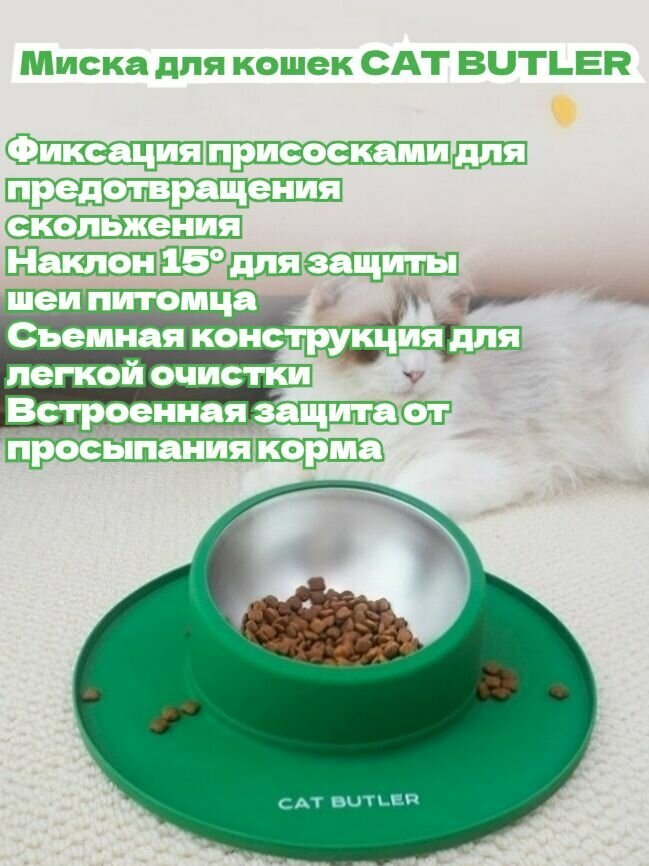Миска для кошек CAT BUTLER с антискользящим силиконовым основанием, из нержавеющей стали, защитой от проливания и наклоном 15