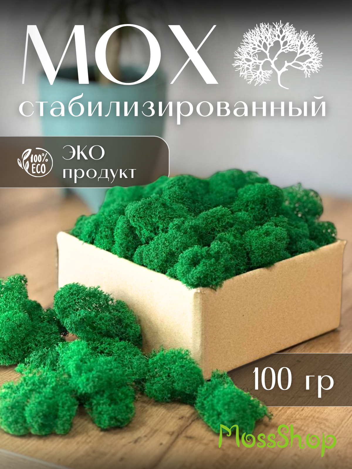 Мох Ягель Стабилизированный зеленый