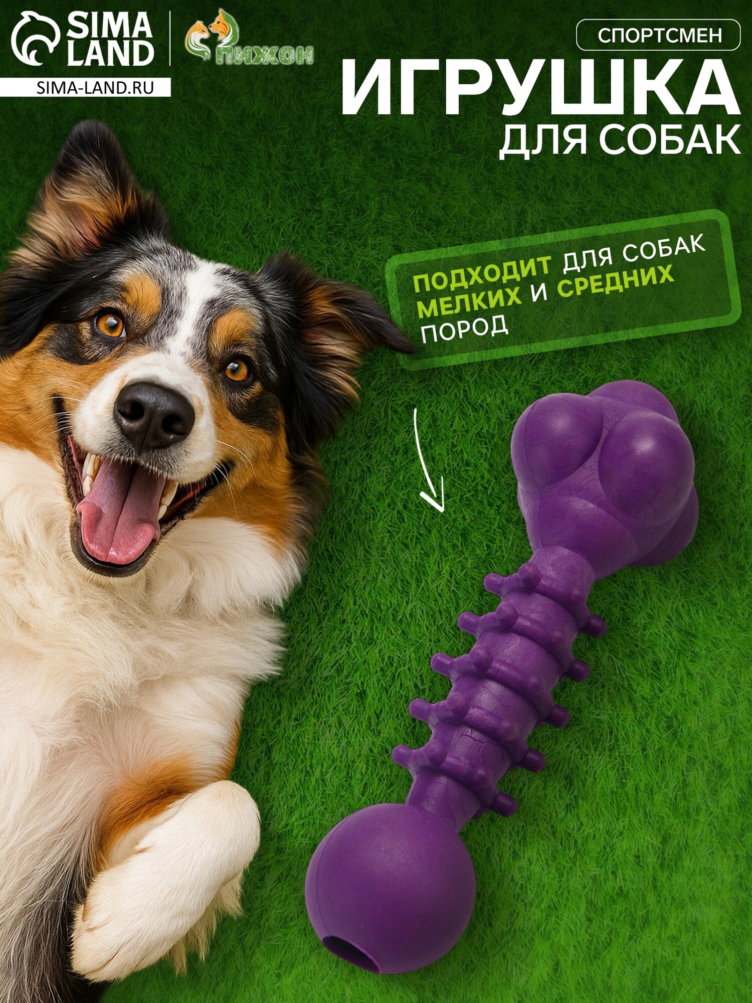 Жевательная игрушка для собак «Спортсмен», 15.5 см, TPR, фиолетовая