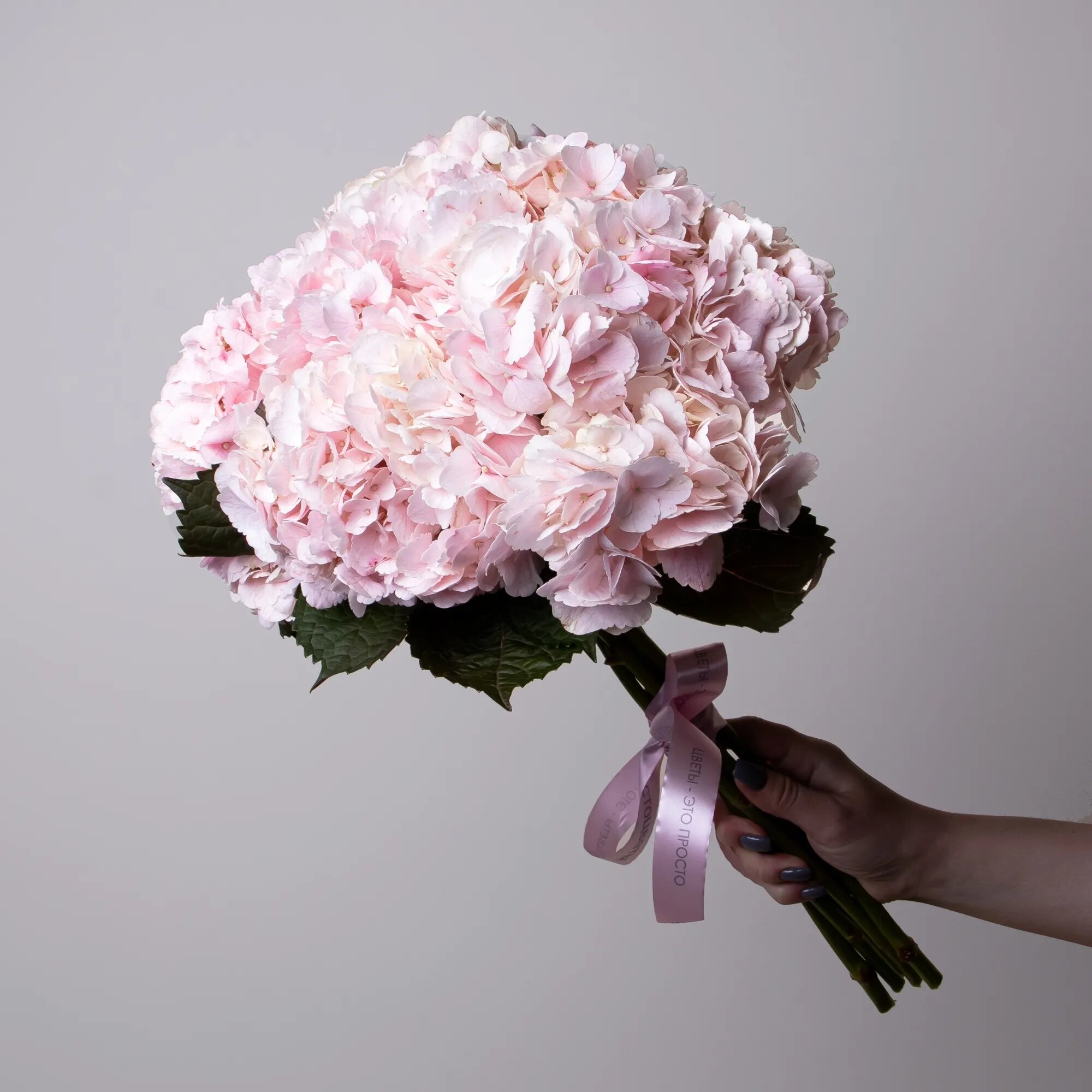 Букет Гортензия "Скай Пинк" 5 шт Высота 50 см под ленту от "Простоцветы"