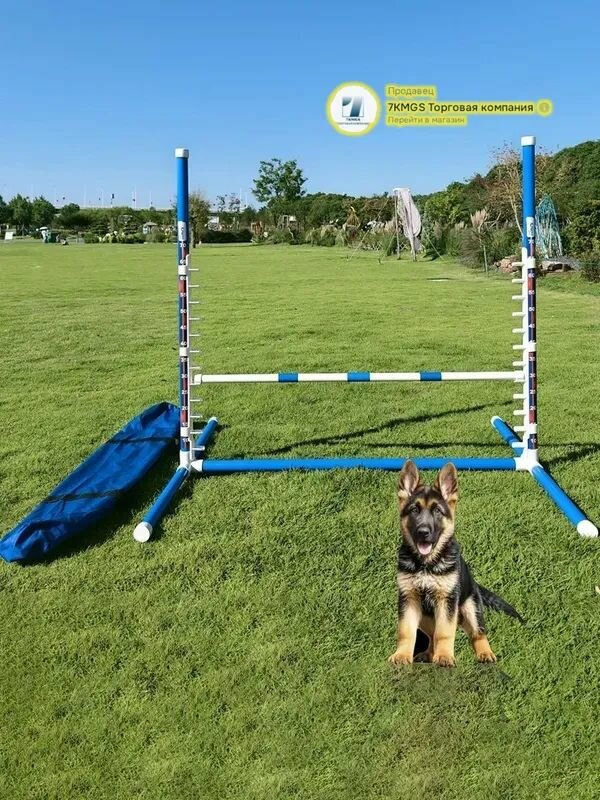 Набор для аджилити для собак, Барьер для аджилити