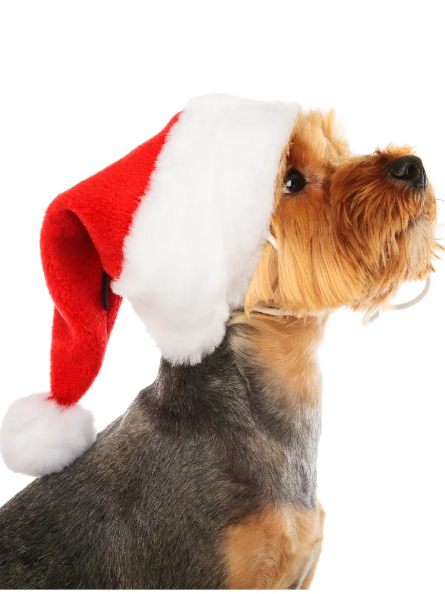 Новогодняя шапка для собак "Santa"