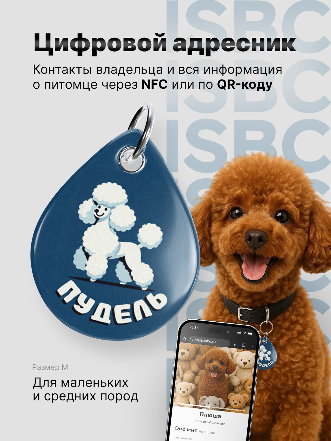 Цифровой Адресник для собак от ISBC с NFC и QR-кодом, Пудель