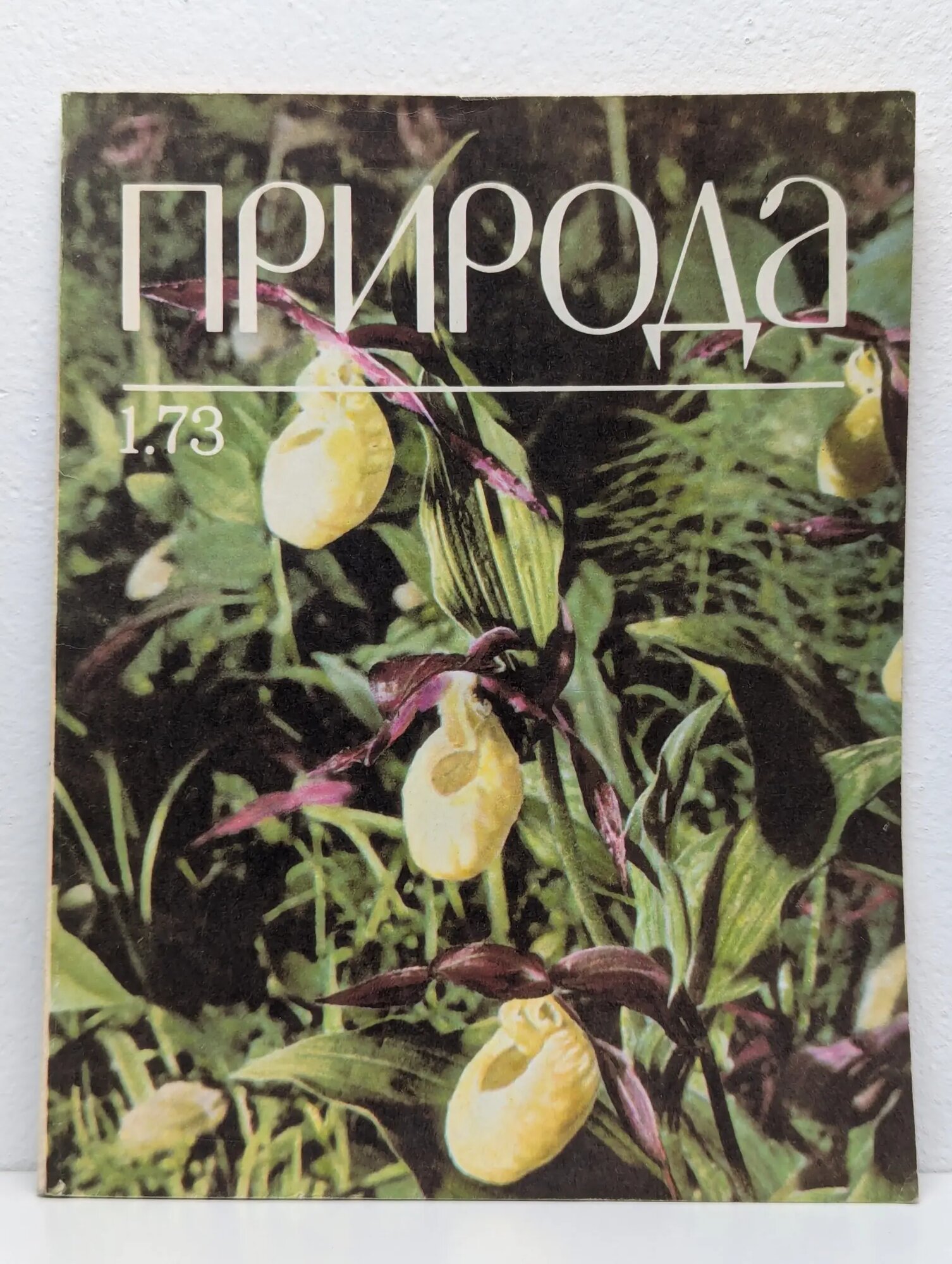 Природа. Выпуск №1/1973 Басов Н. Г. (ред.) 1973