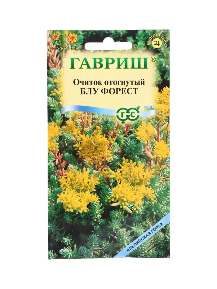 Семена цветов Очиток отогнутый «Блу Форест» 0.01 г
