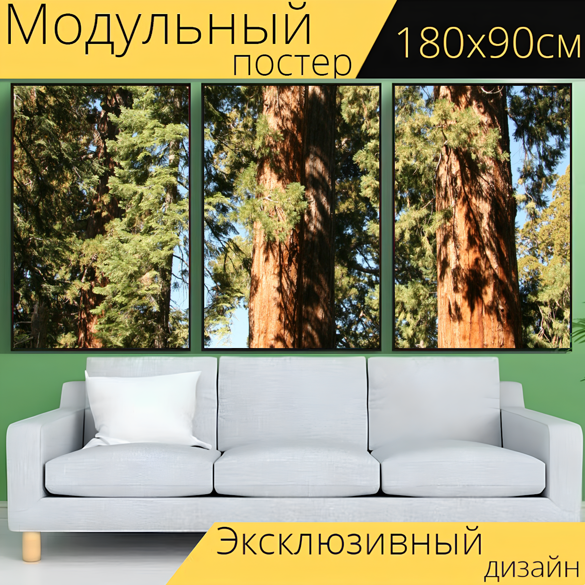 Модульный постер "Гигантские секвойи в Йосемити Гигантские секвойи в Йосемити гигант красное дерево деревья Yosemite" 180 x 90 см. для интерьера на стену в тубусе
