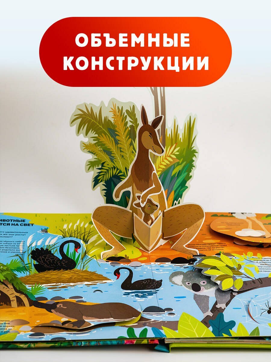 Животные и птицы — фото 1