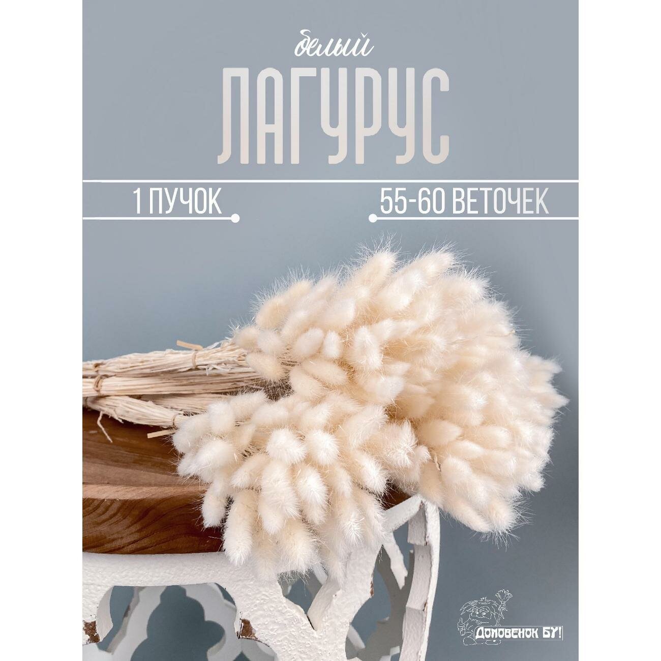 Сухоцвет Домовенок БУ Сухоцвет для декора Лагурус белый