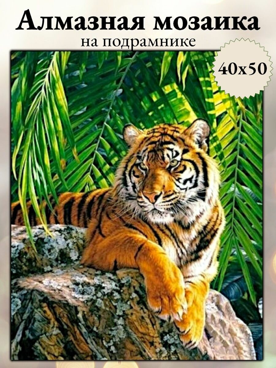 Алмазная мозаика, алмазная живопись на подрамнике 40х50 Картина стразами "Тигр на камне"