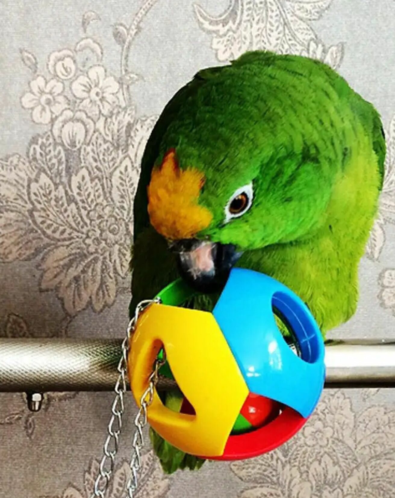 Игрушка для животных