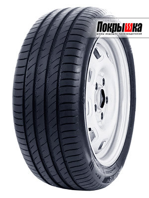 Шины летние Delinte DS2 SUV 265/60 R18 110V для внедорожника
