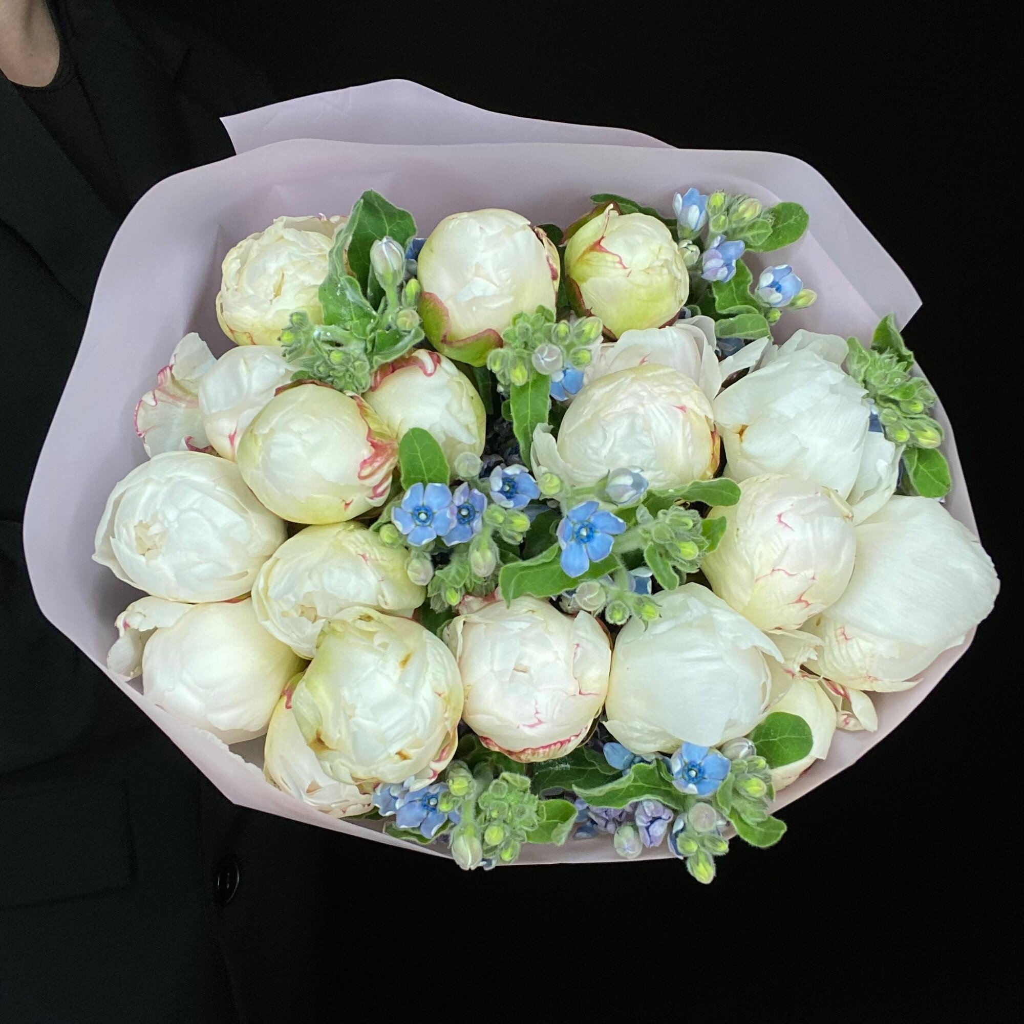 Белые пионы (пионы 19 шт, оксипеталум 10 шт.), высота букета 40 см