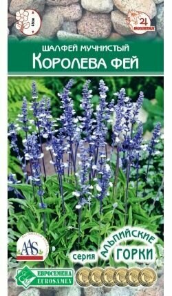 Шалфей мучнистый королева ФЕЙ /10 семян/ Евросемена/ Серия Альпийские горки
