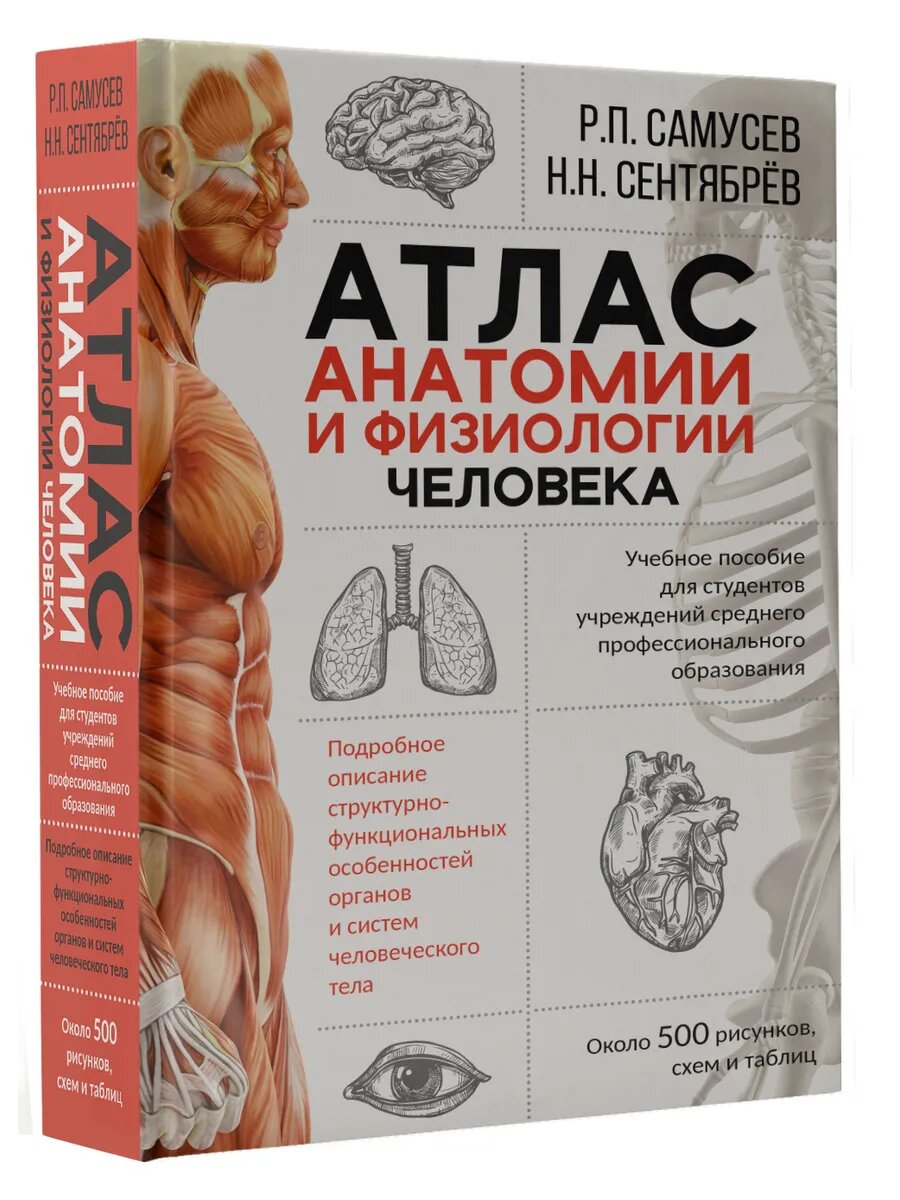 Атлас анатомии и физиологии человека. Учебное пособие