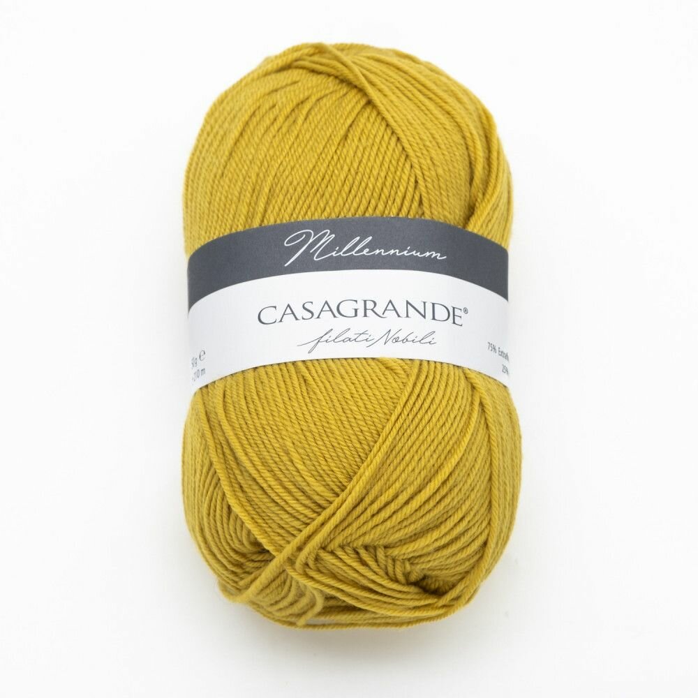 Носочная пряжа Casagrande Millennium (31.011) 1 моток