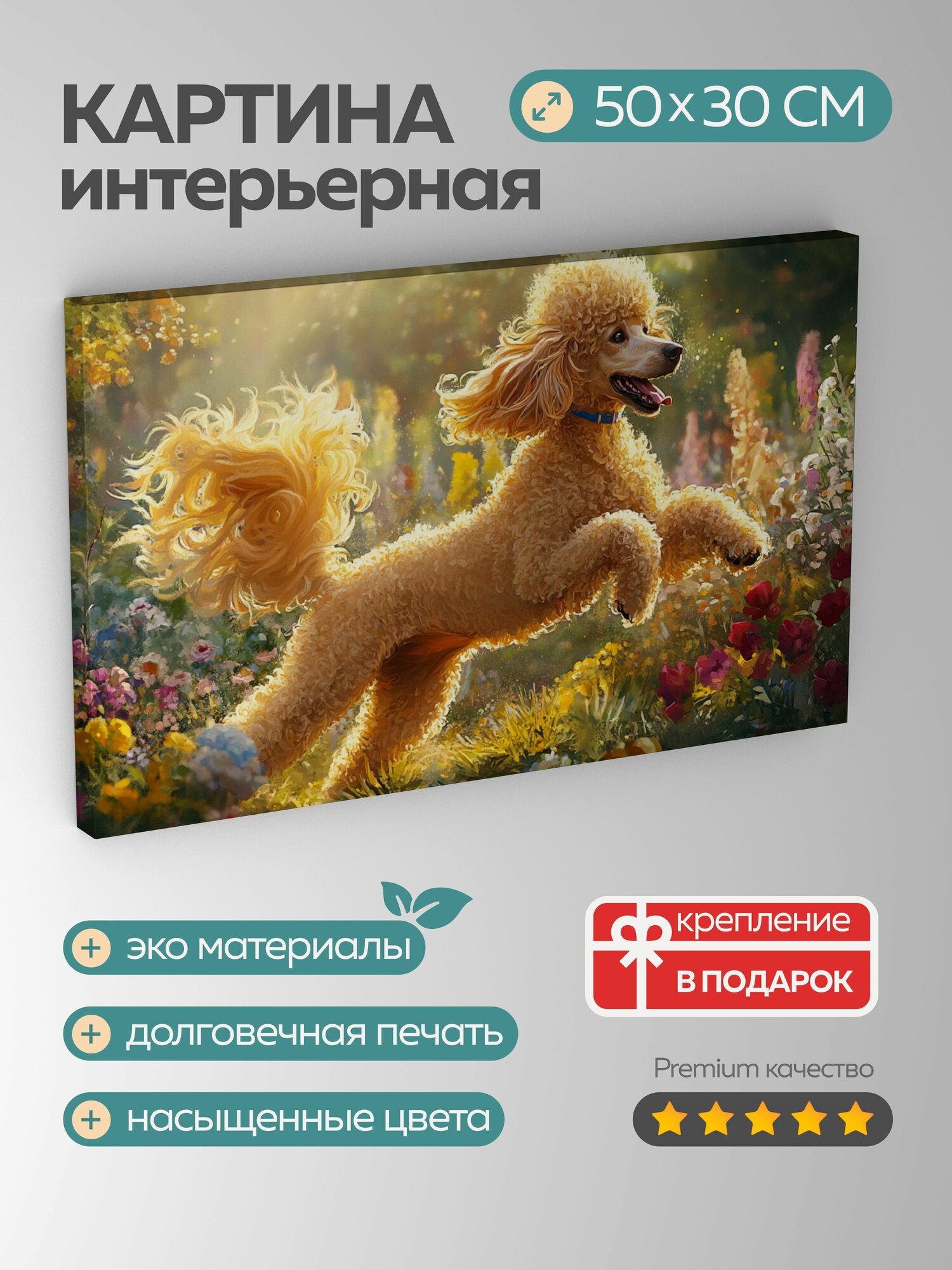 Картина на холсте интерьерная 50х30 см, пудель, танец, парк, солнце, цветы, шерсть, плавность, движения, радость, глаза