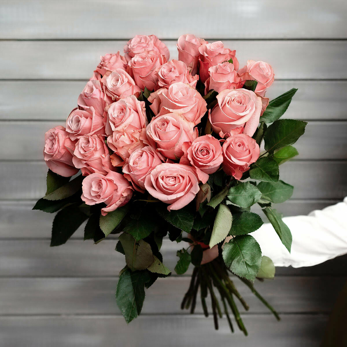 23 розовые розы Эквадор, высота 50 см, монобукет от Букет Маркет