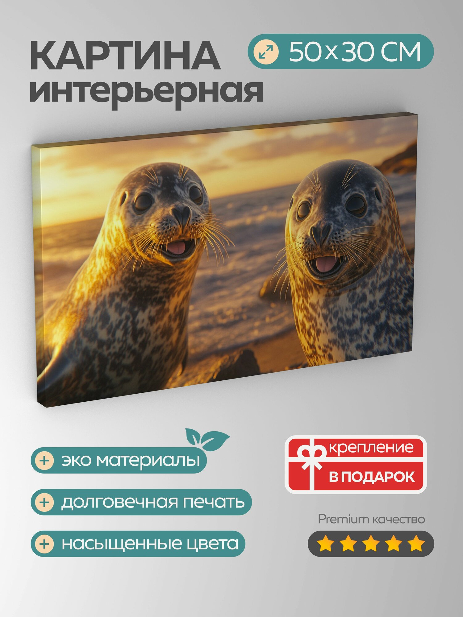 Картина на холсте интерьерная 50х30 см, морские котики, природа, игривые взаимодействия, золотой час, фотография, парк