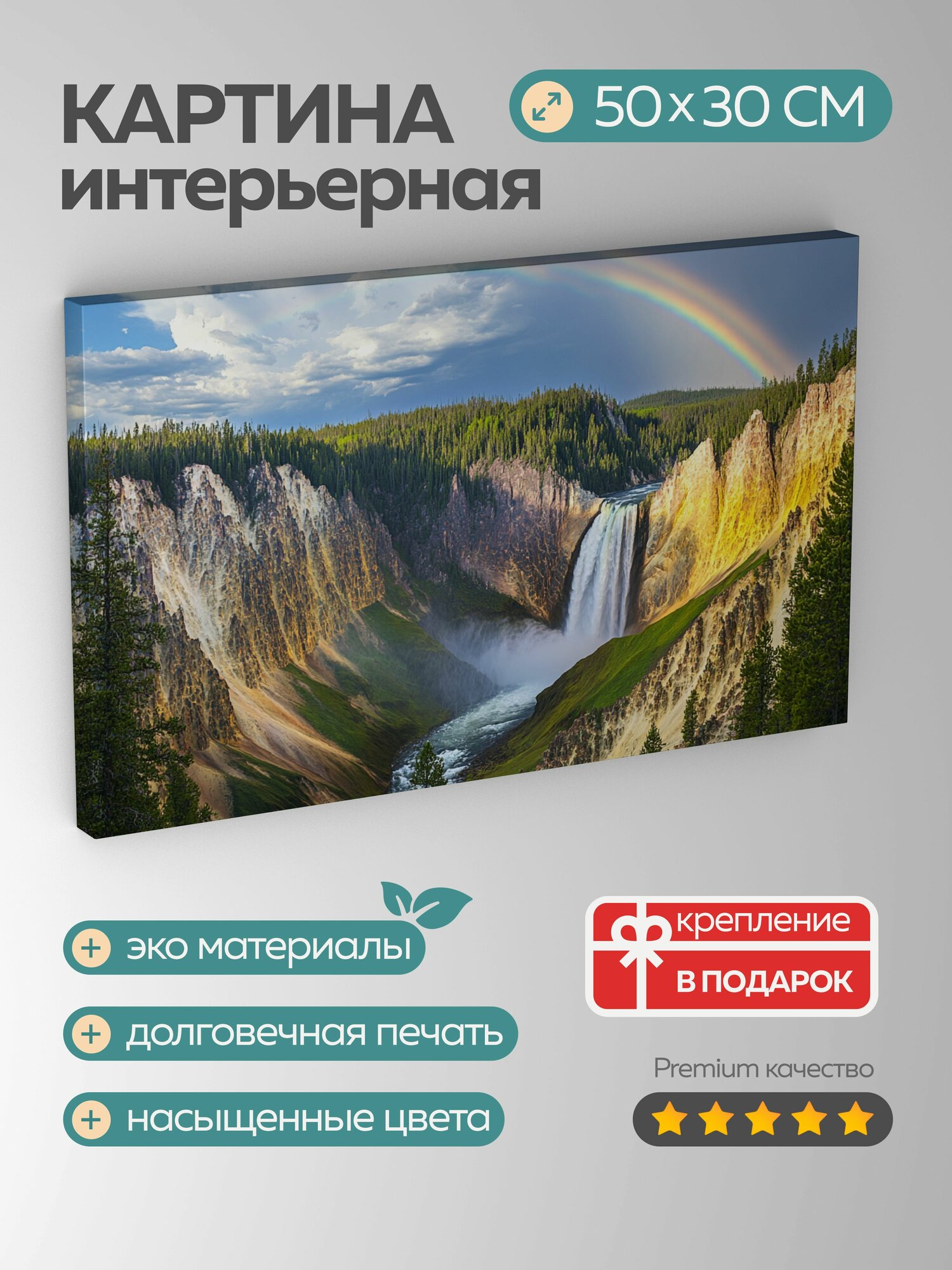 Картина на холсте интерьерная 50х30 см, двойная радуга, водопад, лес, природа, весна, зелень, изгибающаяся дуга, видео