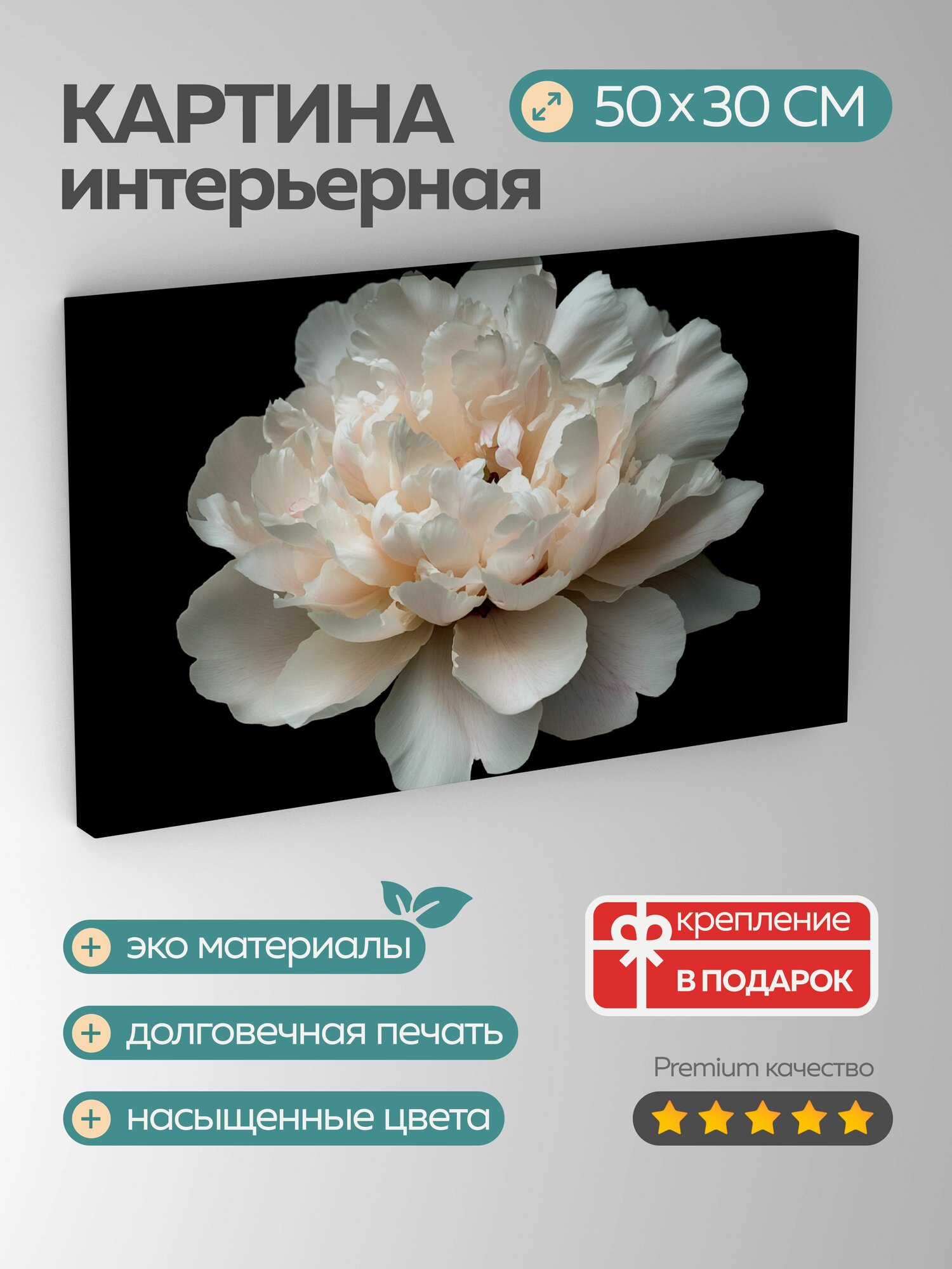 Картина на холсте интерьерная 50х30 см, Пион, крупный план, розовый, белый, лепестки, Canon EF 100mm, макро, цветок