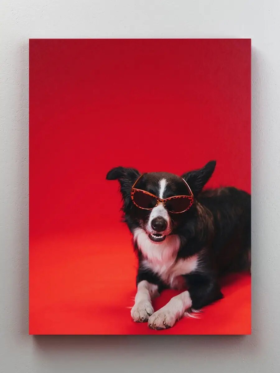 Интерьерная картина на холсте "Бордер-колли - собака в очках" размер 30x40 см