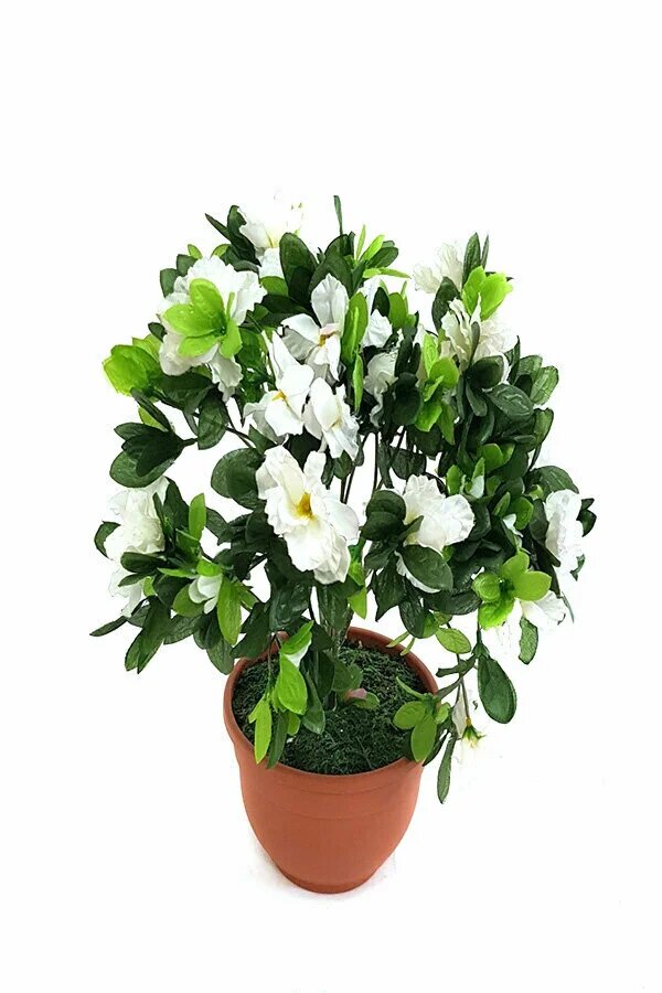 Искусственная азалия Holodilova, пластик, высота 40см, белая