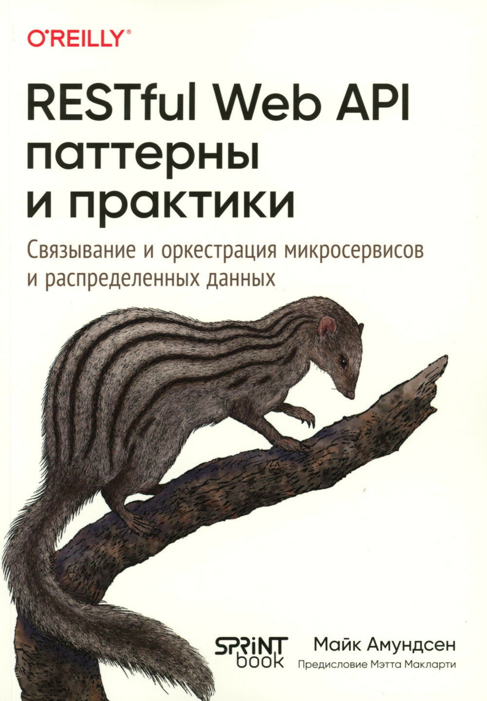 RESTful Web API паттерны и практики. Амундсен М. Спринт Бук