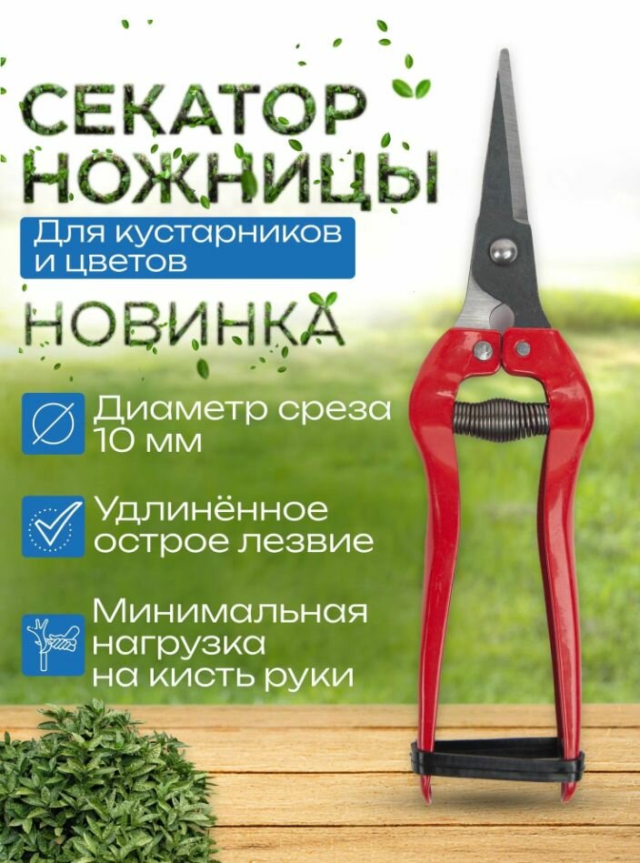 Садовые ножницы, секатор, для цветов, кустарников, комнатных растений, флористические.