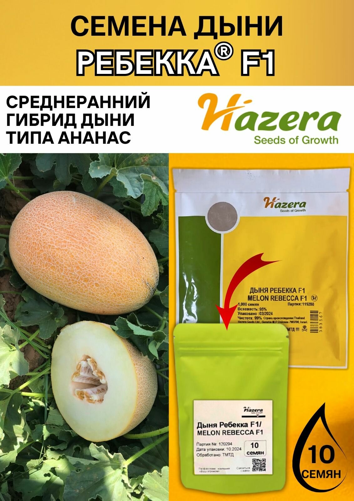 Семена дыни Ребекка F1 10 штук Hareza, профессиональные семена