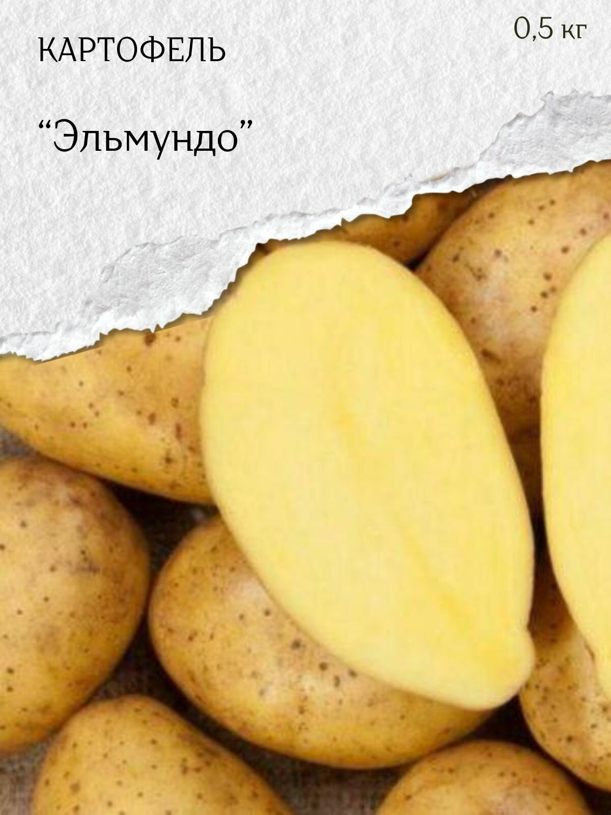 Картофель семенной белый Эльмундо клубни на посадку 500 гр.