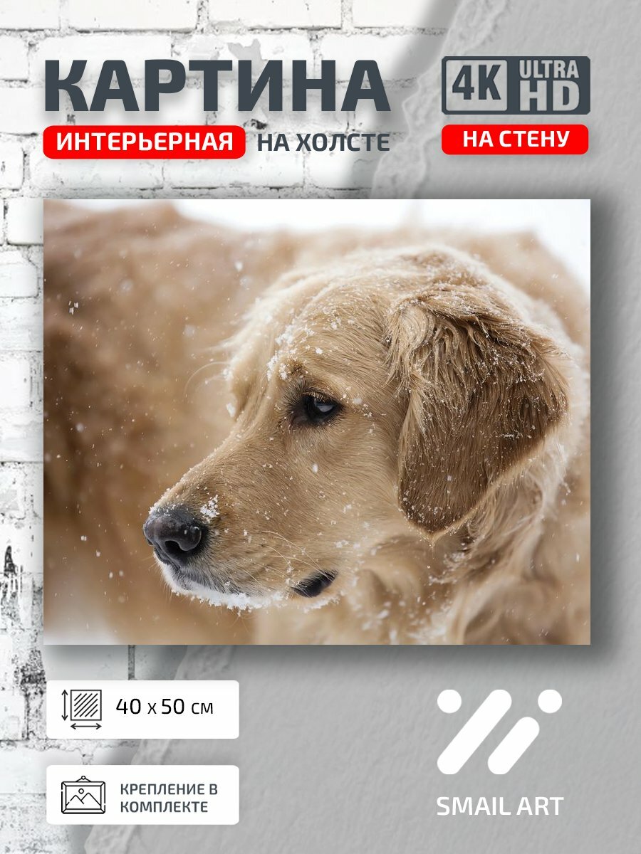 Картина на холсте интерьерная 40 на 50 на стену Одиночество Mood для кабинета атмосфера