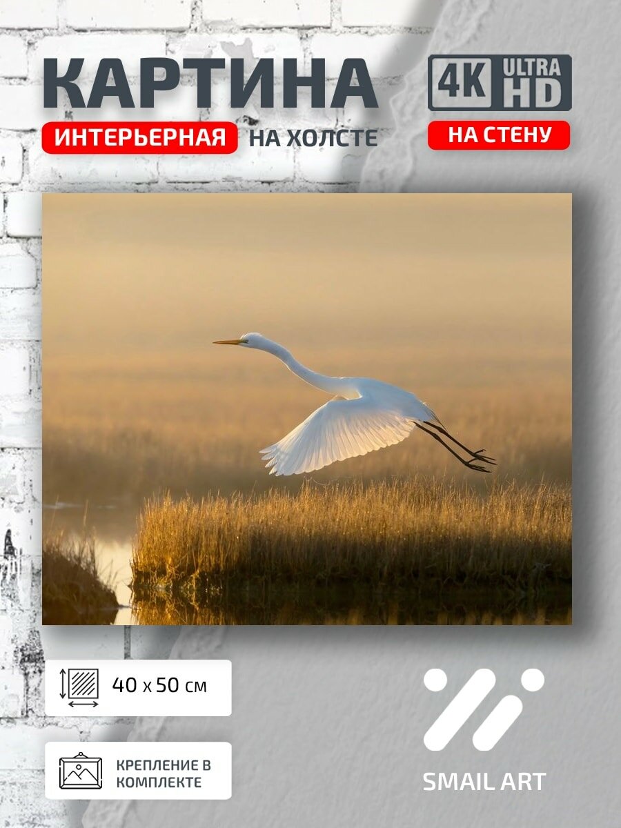Картина на холсте интерьерная 40 на 50 на стену Птицы Цапля для студии атмосфера