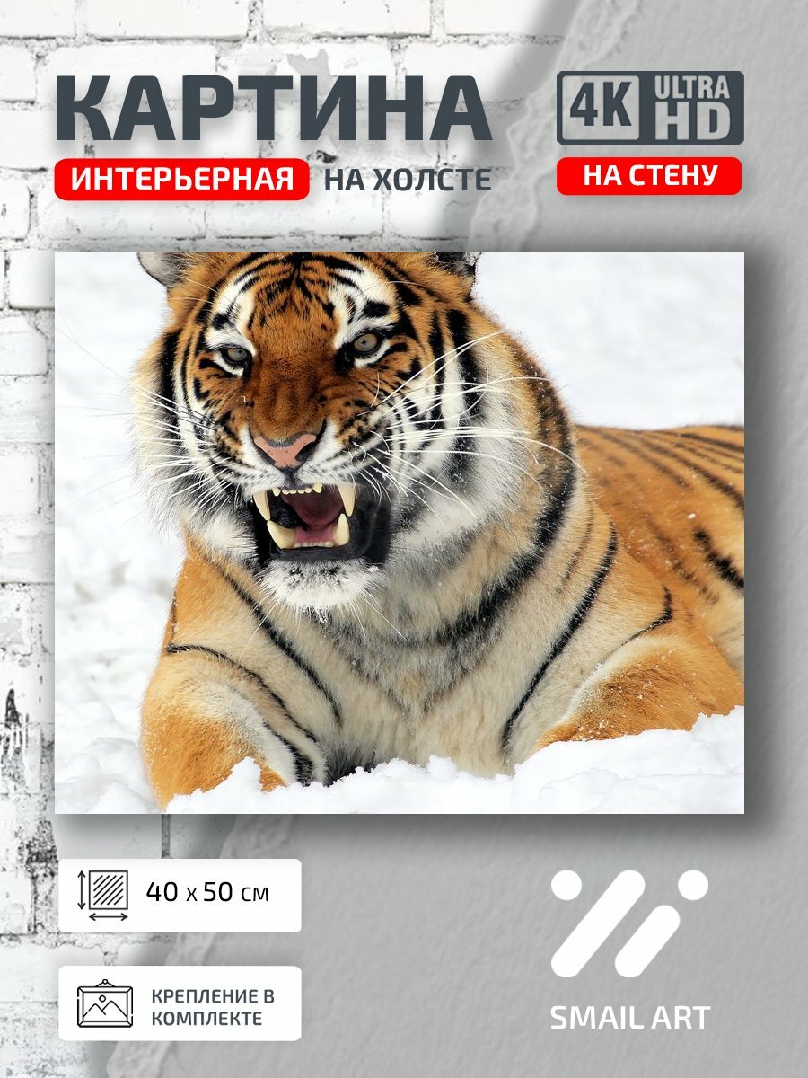 Картина на холсте интерьерная 40 на 50 на стену Тигр Animal для детской animal style декор