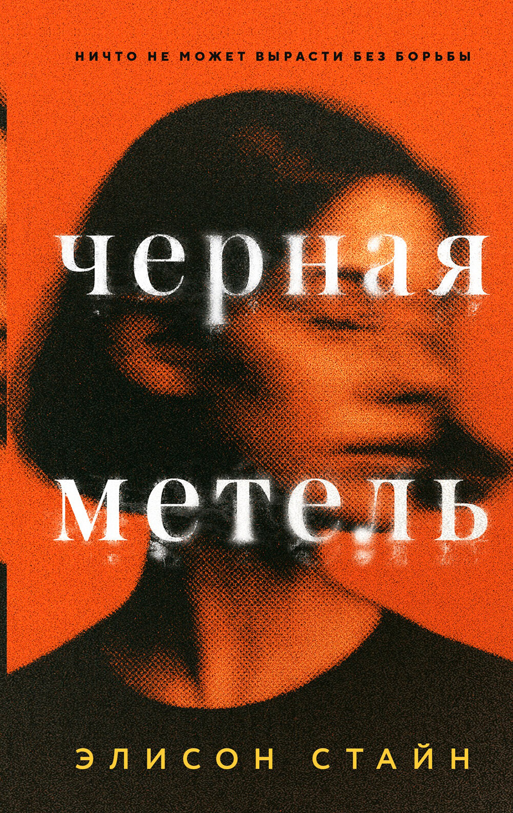 Черная метель: роман. Стайн Э.