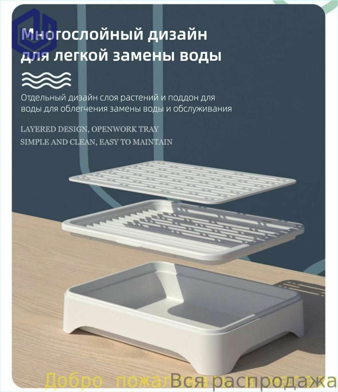 Кошачья коробка из травы / 5 мест для семян