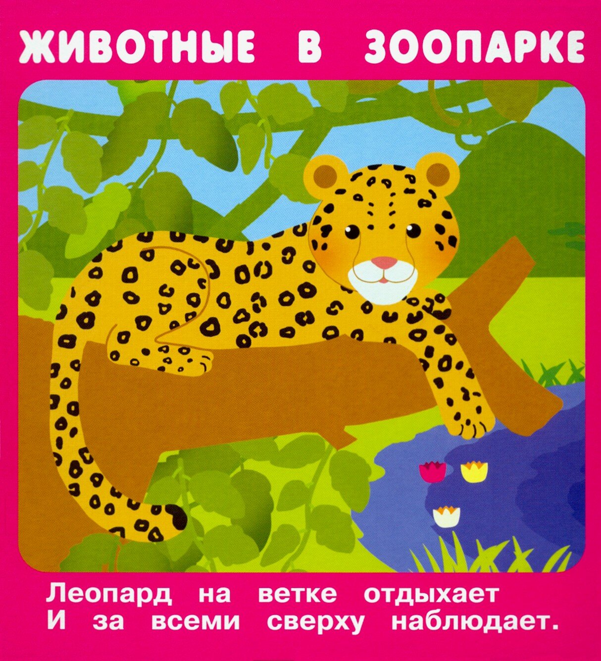Животные в зоопарке (18 карточек)