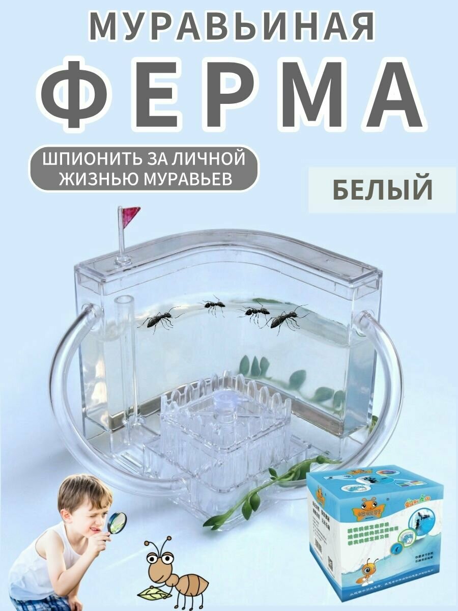 Муравьиная ферма(Муравьи в комплект не входят), Муравьиная усадьба