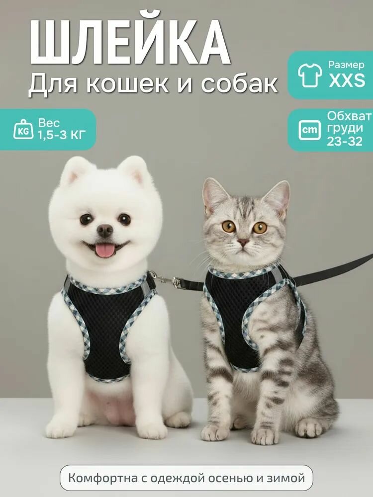 Шлейка для собак и кошек, размер XXS, чёрная, анатомическая, с поводком 1.5 м и， обхват груди 23 32 см