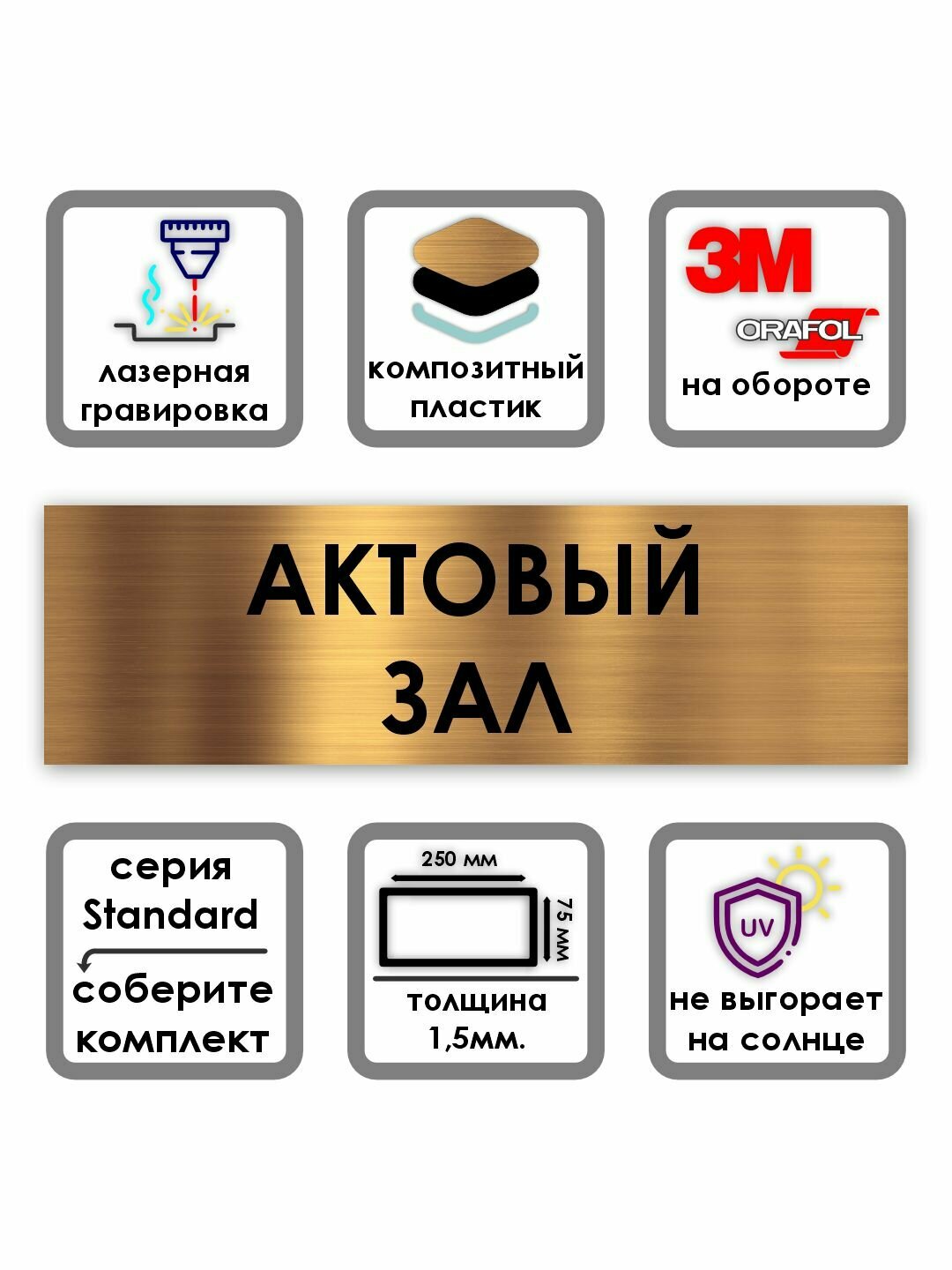 Актовый зал табличка на дверь 250*75*1,5 мм. Золото