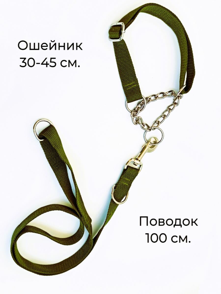 Поводок с ошейником-удавкой, нейлон