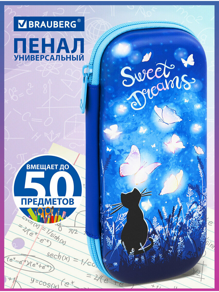 Пенал школьный для девочки / подростка для ручек, карандашей Brauberg, 1 отделение, 1 откидная планка, Eva, 22х10х5 см, Sweet dreams, 270704