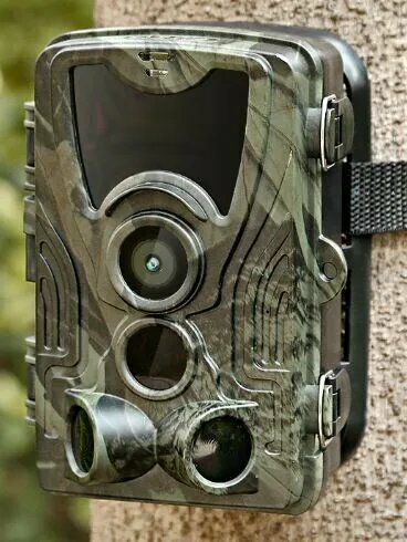 Фотоловушка