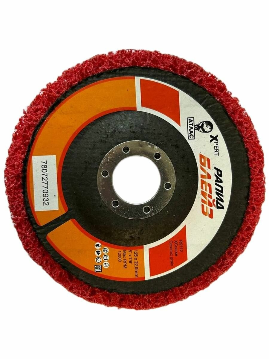 Коралловый диск Атлас Эксперт Рапид Блейз