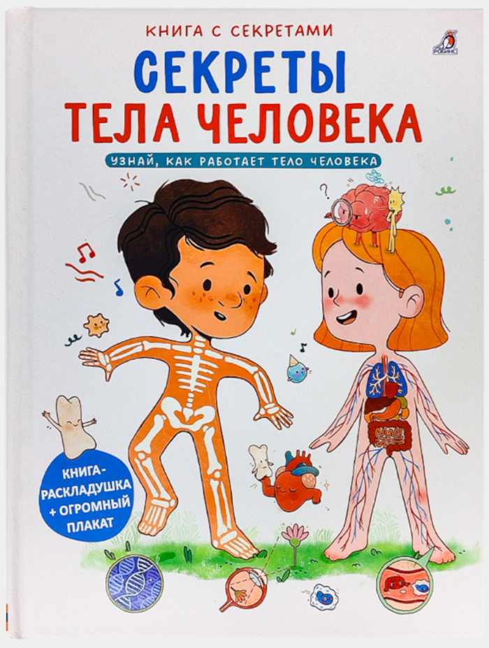 Книга-раскладушка "Секреты тела человека" (6 больших раскрывающихся страниц; плакат)