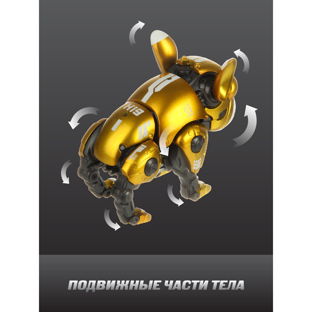 Собака РУ Veld Co — фото 1